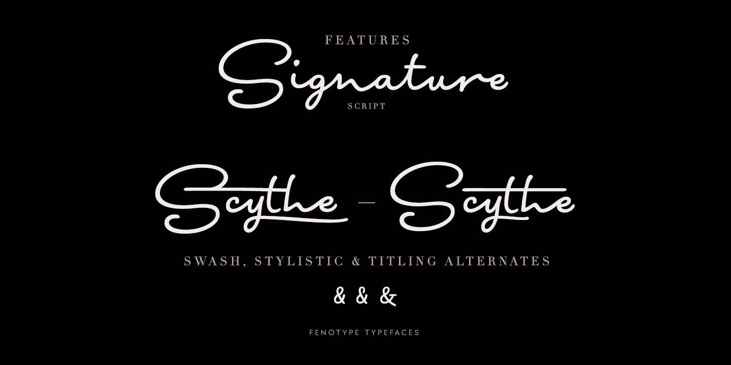 Signature Script Complete Fonts